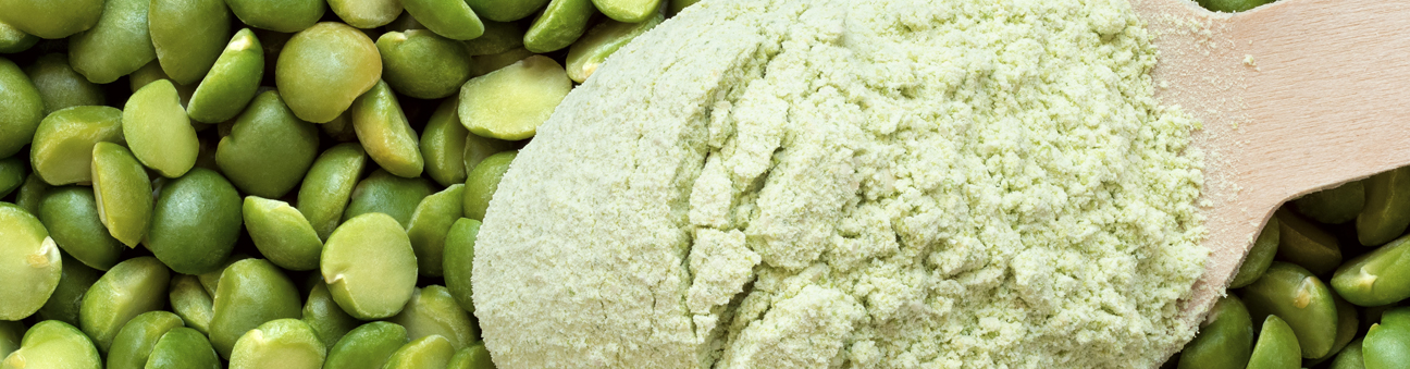 Green Pea Fiber Flour Processor | Belle Pulses